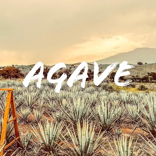 Amazon.co.jp: Agave : Richard Atkinson: Digital Music