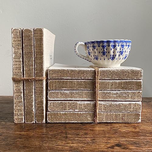 Amazon.com: Rustic Decorative Books Set in Tan, Neutral Shelf Decor ...