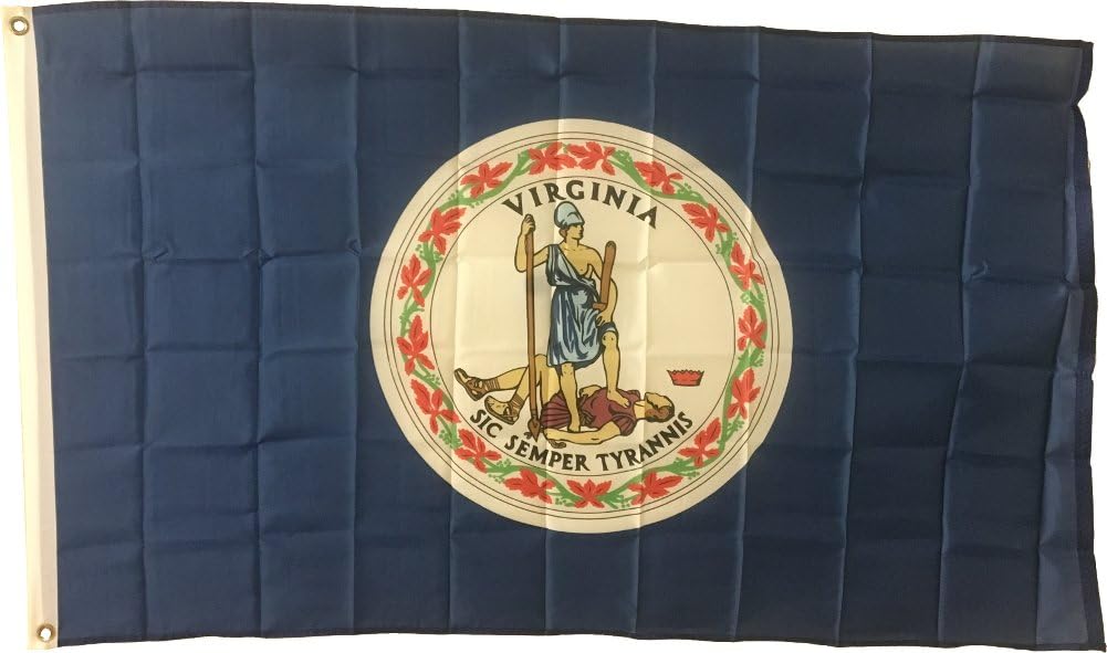 Amazon.com : Virginia State Flag 3x5 Brand NEW LARGE 3 x 5 VA US ...