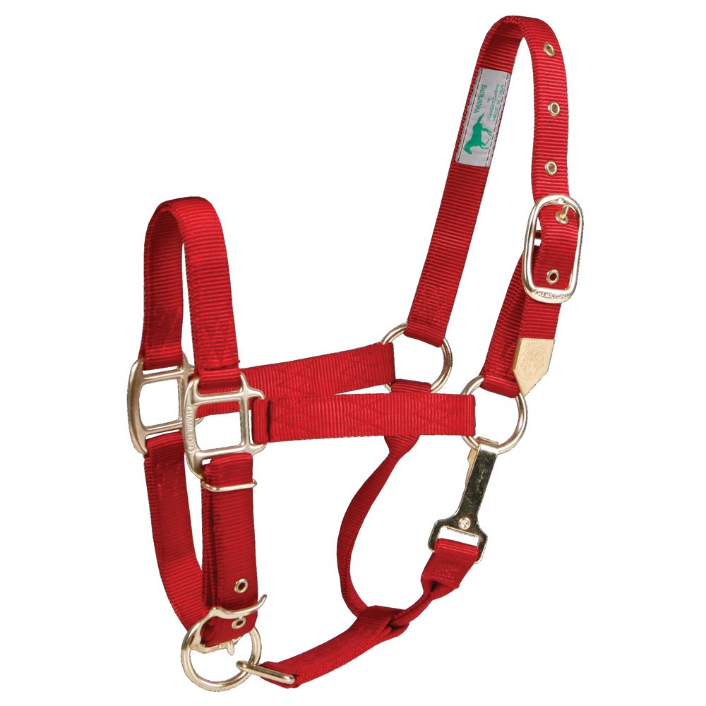 Amazon.com: Hamilton 1-Inch Nylon Halter with Adjustable Chin, Red ...