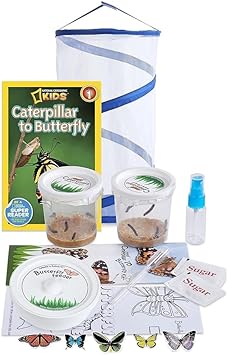 Amazon.com: Live Butterfly Growing Complete Kit - Includes 10 Live ...