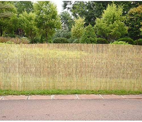 Abaseen Natural Peeled Reed Screening Roll Garden Screen Fence Fencing ...