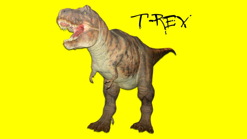 Toddler Animal Sounds - Things that Roar! - Free Edition - App on ...