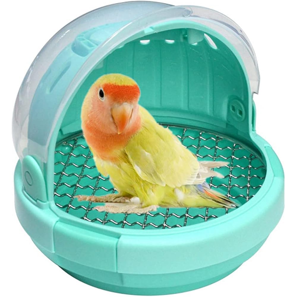 $5/mo - Finance Bird Carrier with Handle - Parrot Carrier Lightweight ...