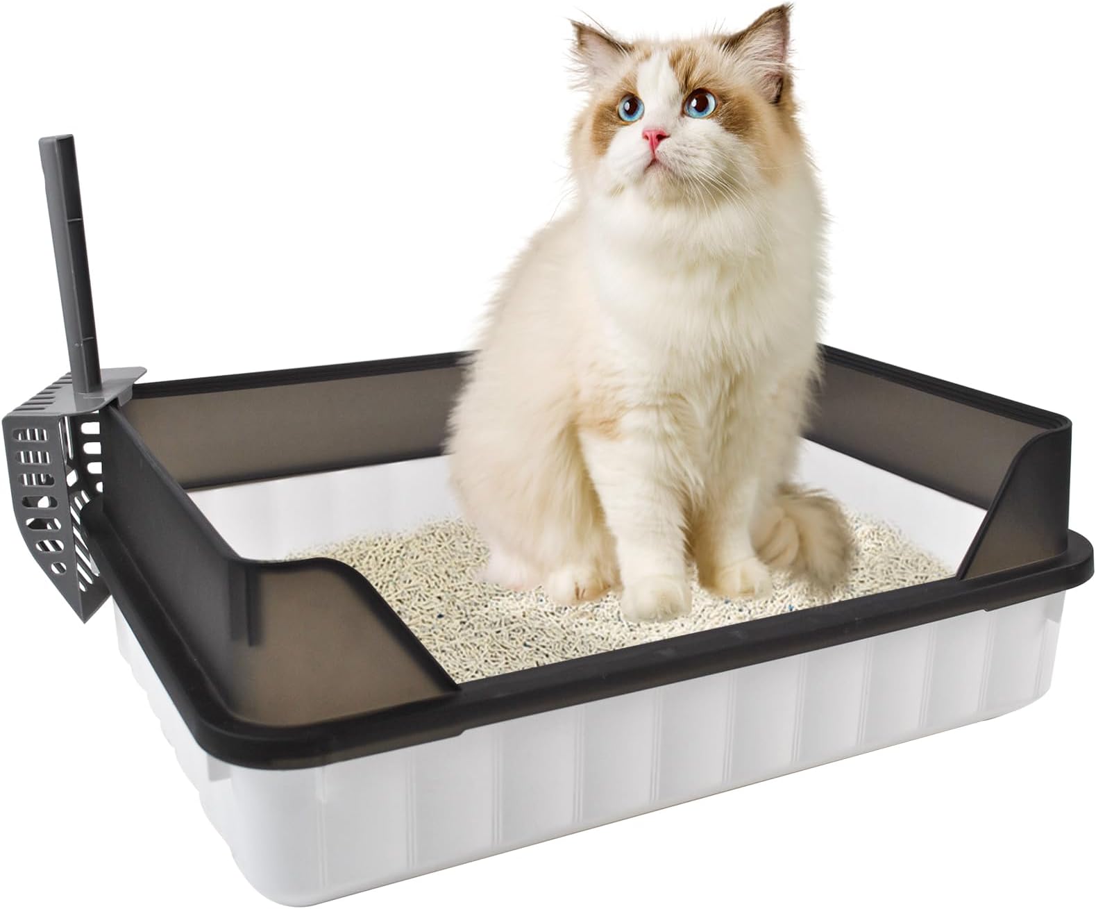 Amazon.com: MUYG Large Cat Litter Box with High Sides,Semi Enclosed ...