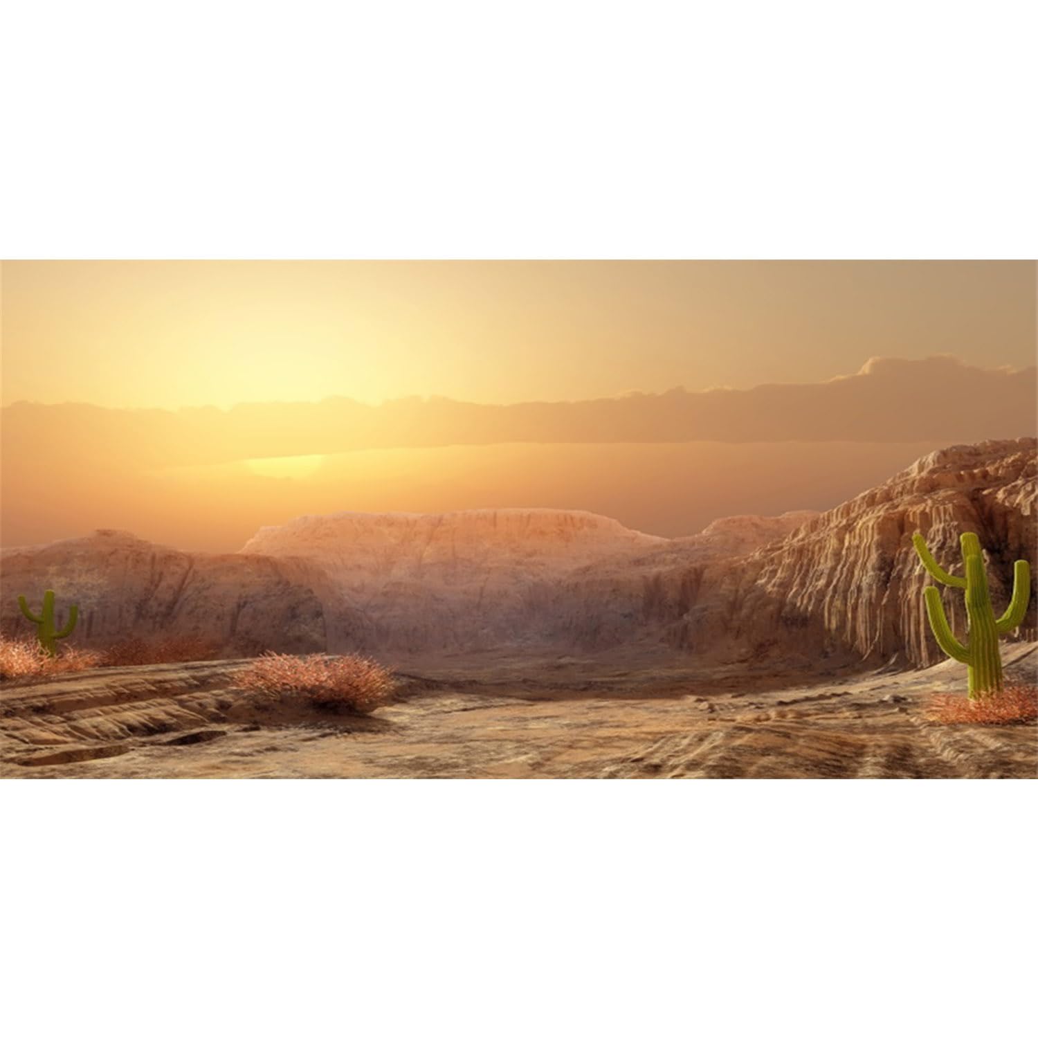Polyester Terrarium Backdrop AWERT 24x12 Inch Sun & Desert Terrarium ...