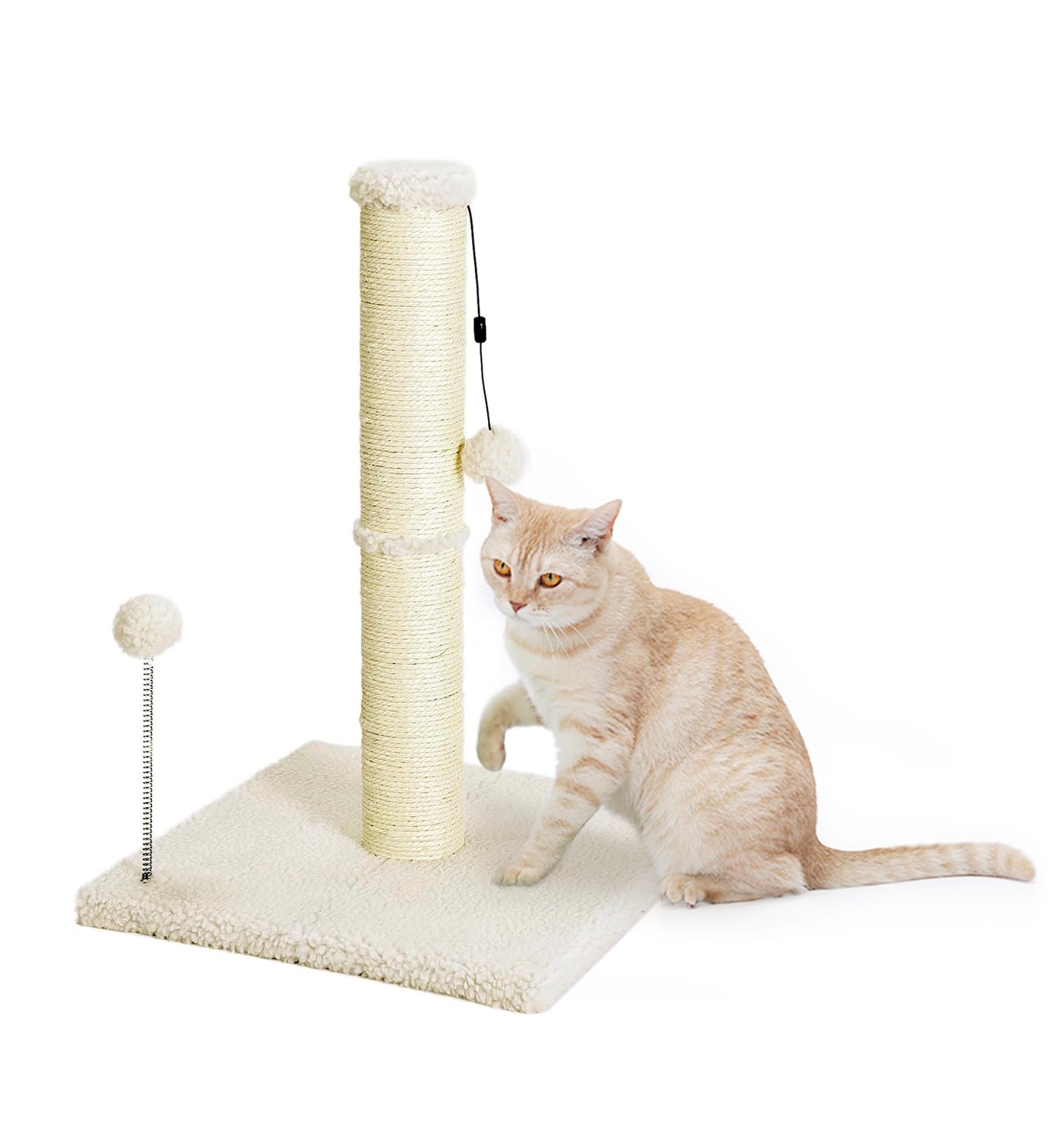 Amazon.com : Cat Scratching Post Kitten Scratcher Sisal Scratch Posts ...