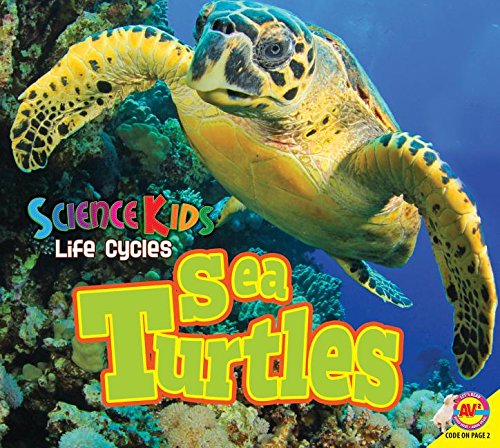 Sea Turtles (Science Kids: Life Cycles): Carr, Aaron: 9781489632135 ...
