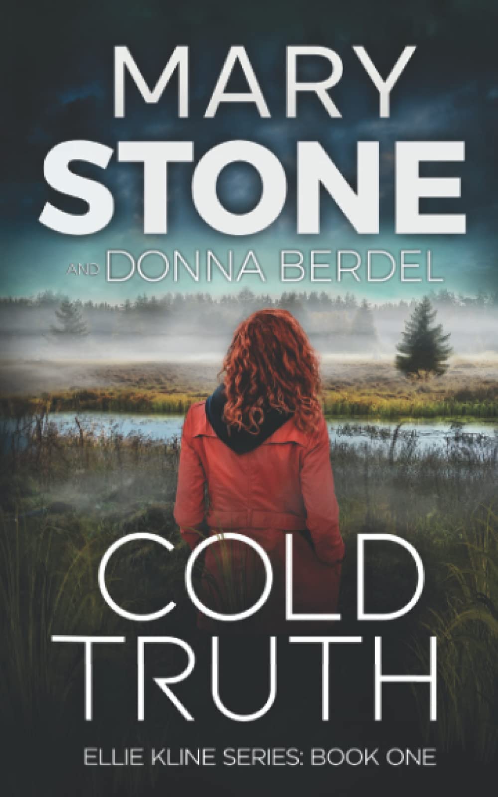 Amazon.com: Cold Truth (Ellie Kline Psychological Thriller Series ...