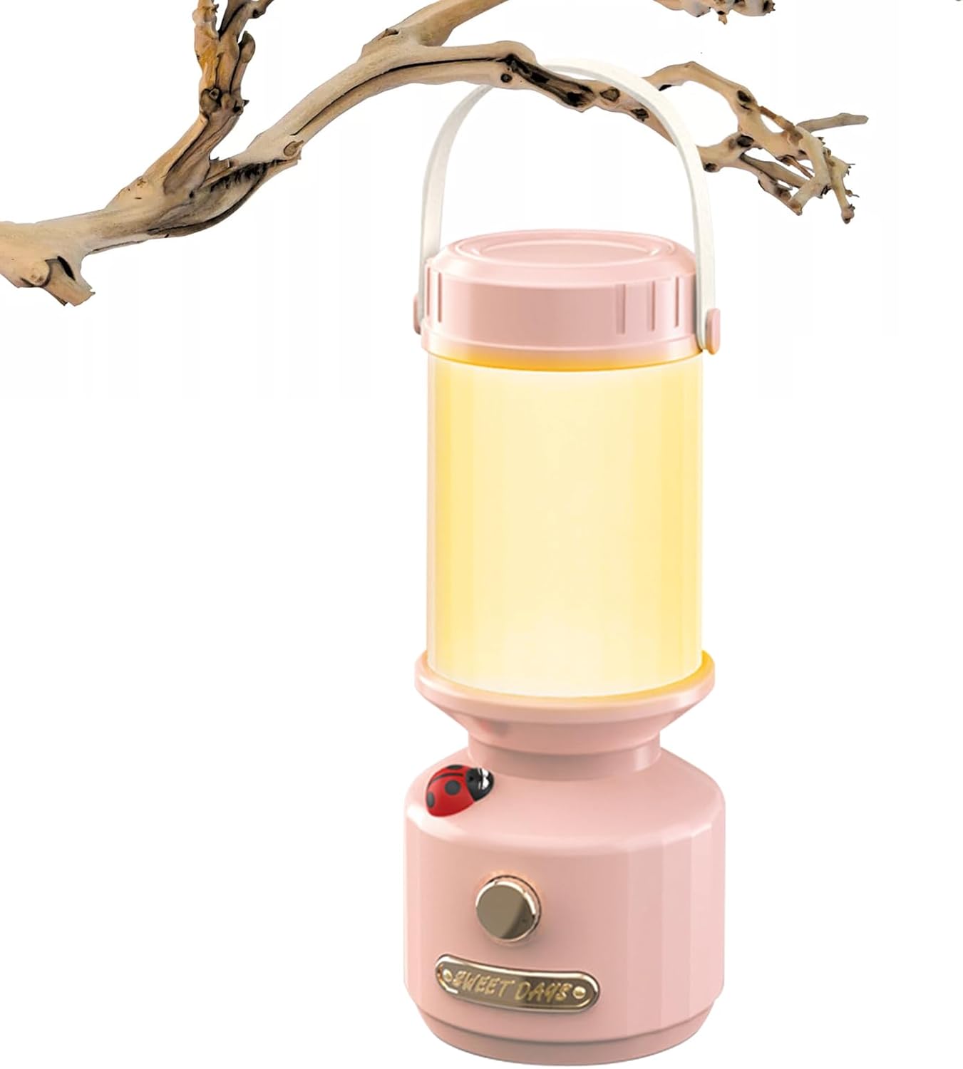 Amazon.com: Royee Royal Lantern Camping Essentials Lights Lights for ...
