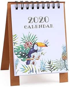 Amazon.com : Desk Calendars 2020 Mini Desktop Calendar School Desk ...