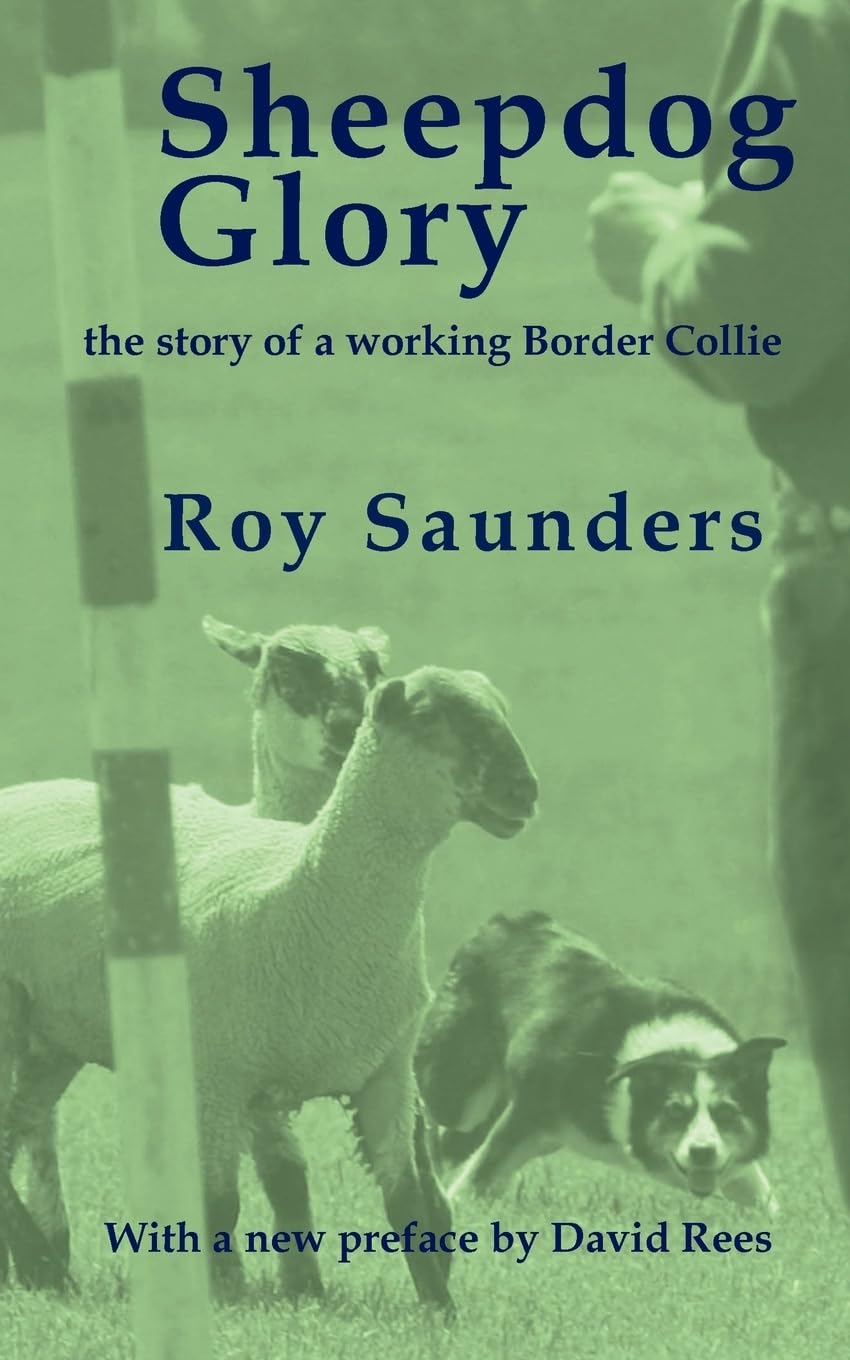 Sheepdog Glory: The Story of a Working Border Collie: Saunders, Roy ...