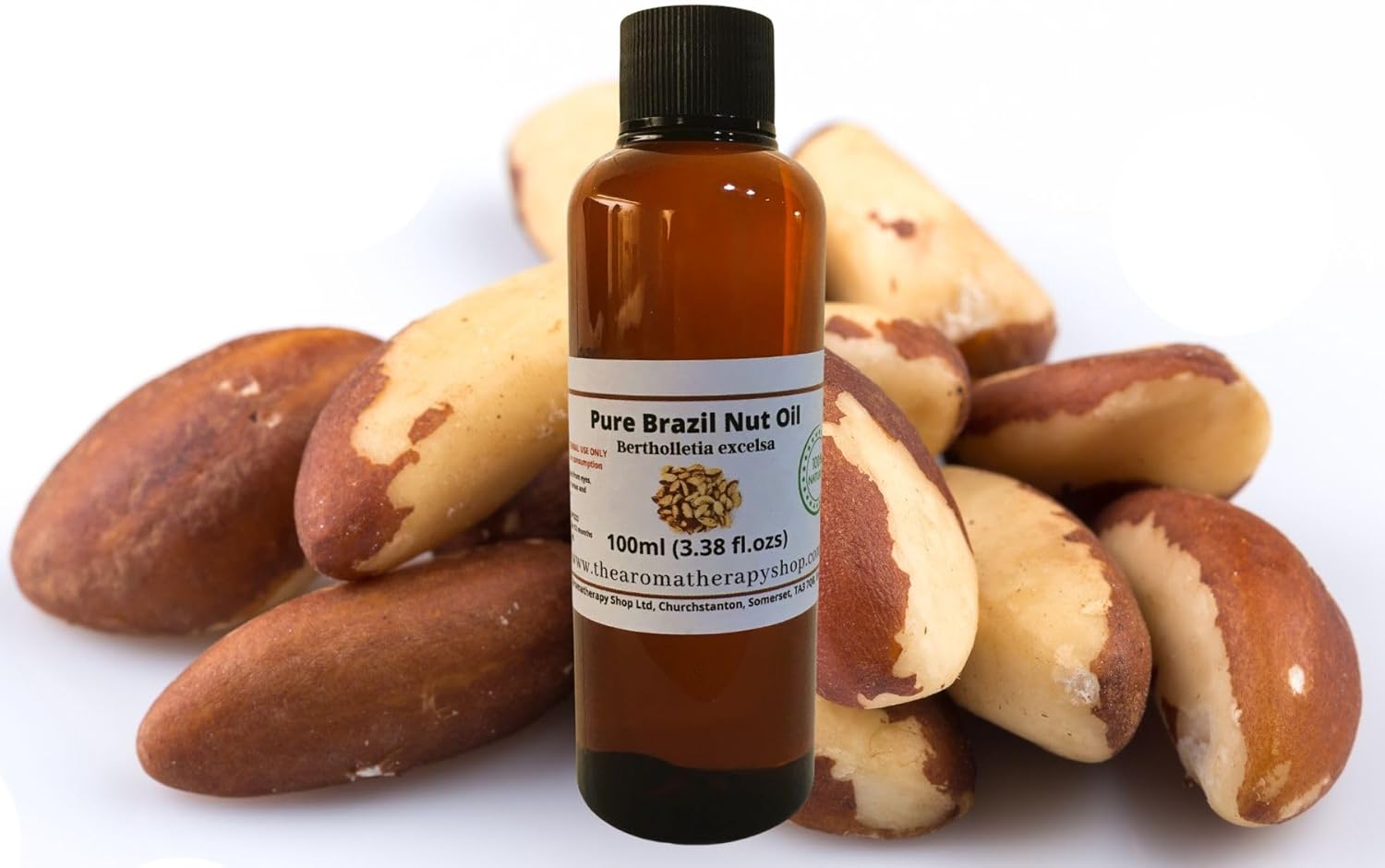 Brazil Nut (Amazonian Nut) Oil 100ml : Amazon.co.uk: Grocery
