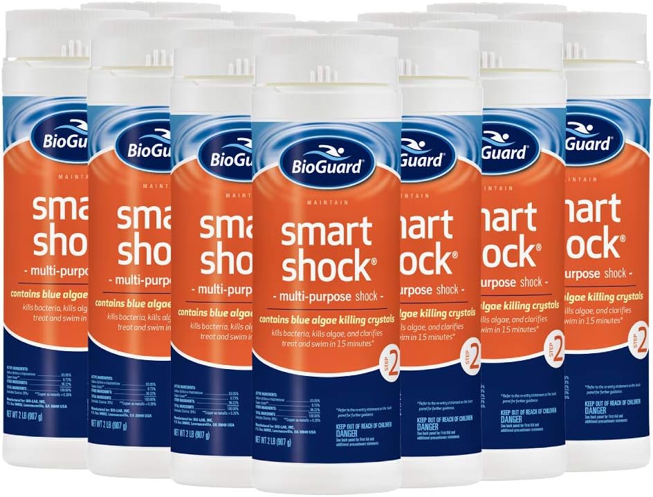 Amazon.com : BioGuard Smart Shock - 2 Lb (Case of 6) : Swimming Pool ...