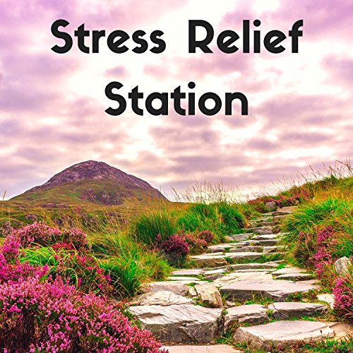 Spiele Stress Relief Station - Prime Collection of Relaxing Music von ...