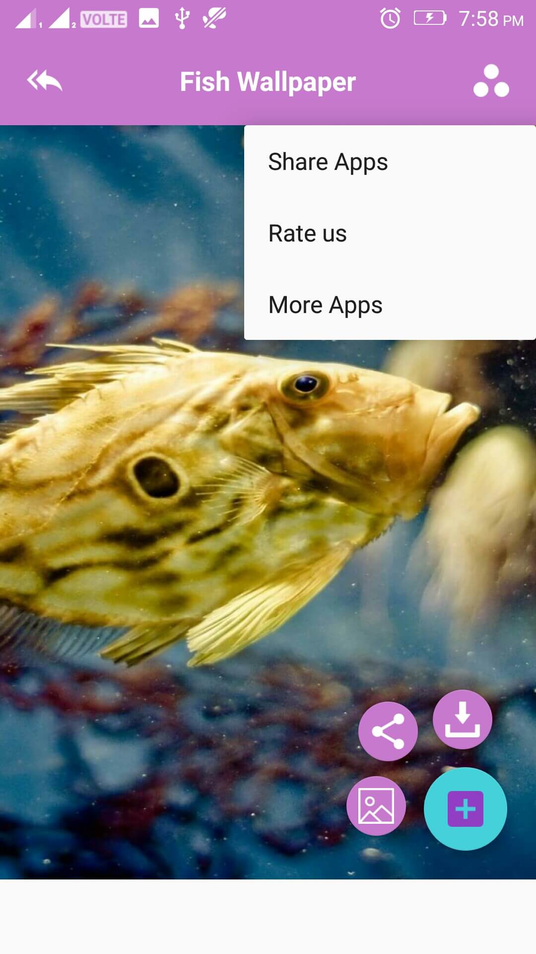 Fish Wallpaper - App on Amazon Appstore