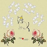 【発売日：2017年03月21日】・製造元:Mental Illness Recordings