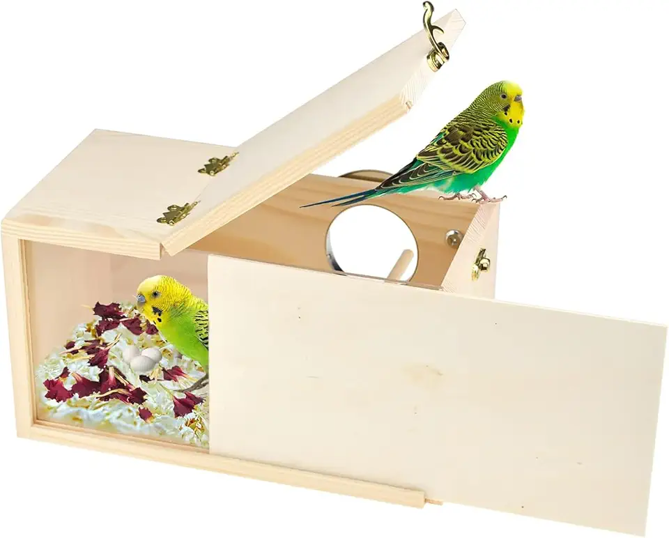 The Ultimate Guide To Breeding Budgies For Beginners | PetShun