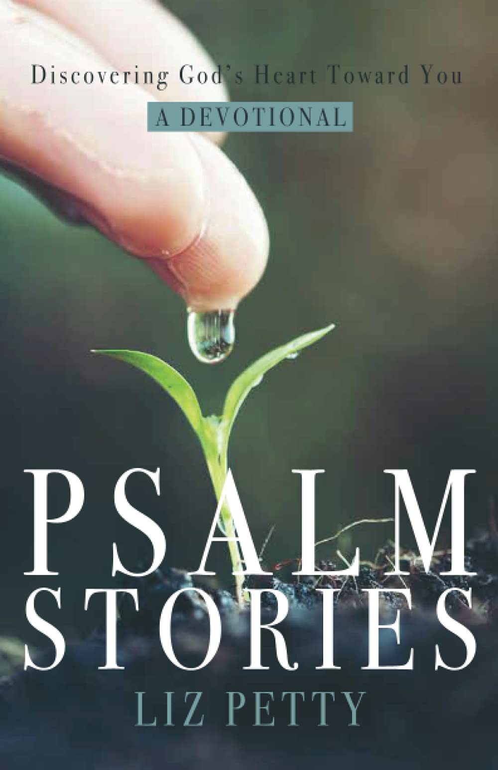 Psalm Stories: Discovering God's Heart Toward You: Petty, Liz ...