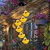 Amazon.com : Color Changing Solar Power Duck Wind Chime,Animal ...