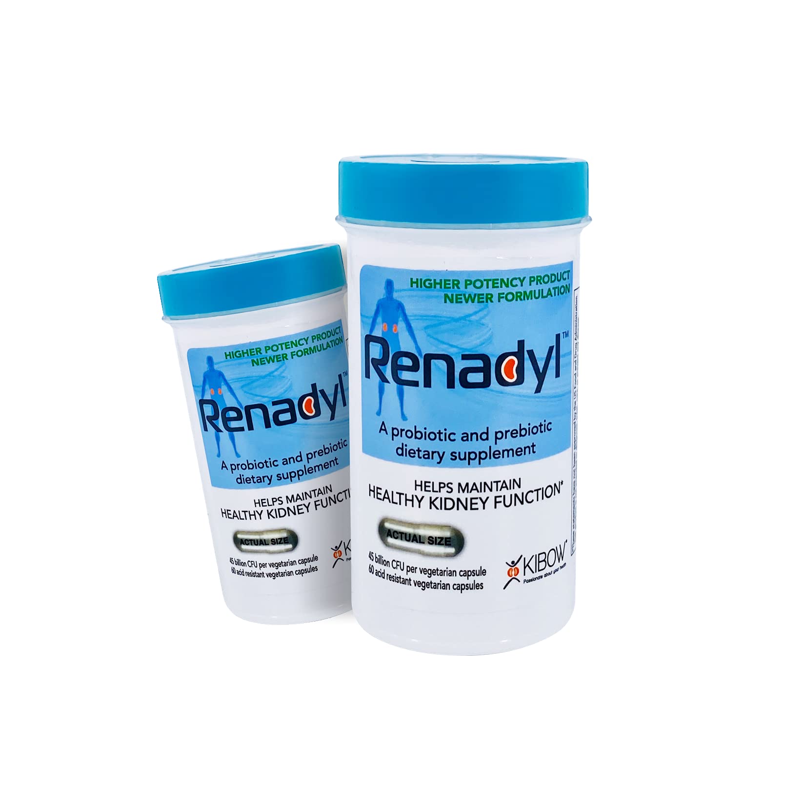 Snapklik.com : Renadyl Kidney Probiotic Supplement Urea, Creatinine ...