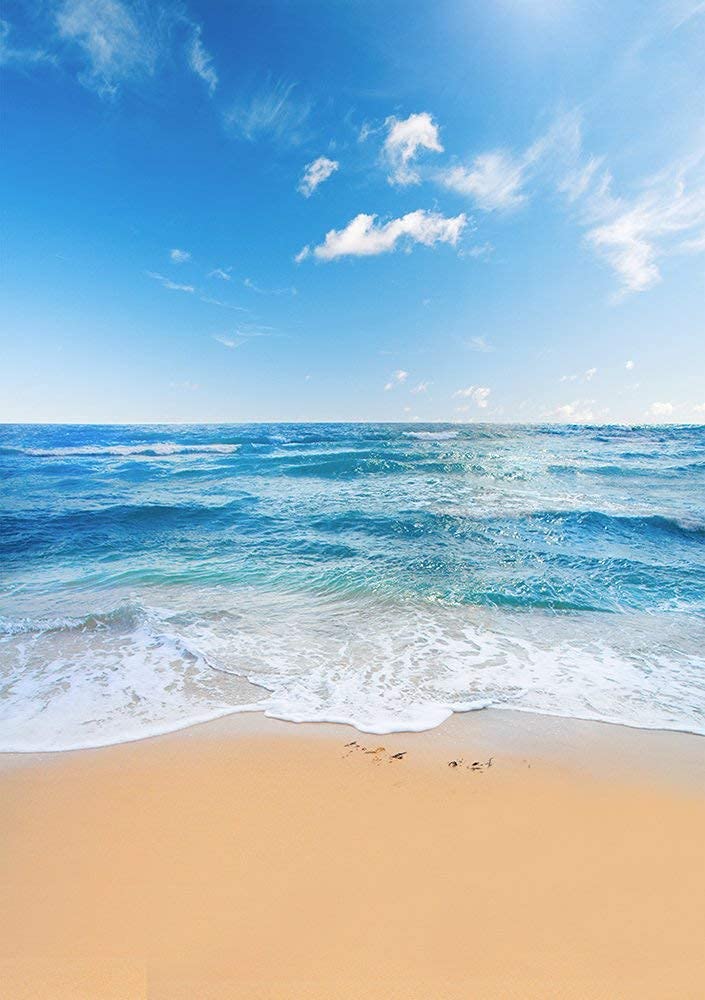 Laeacco Tropical Beach Backdrop Blue Sea Sky Photo Backdrop 5x7ft ...