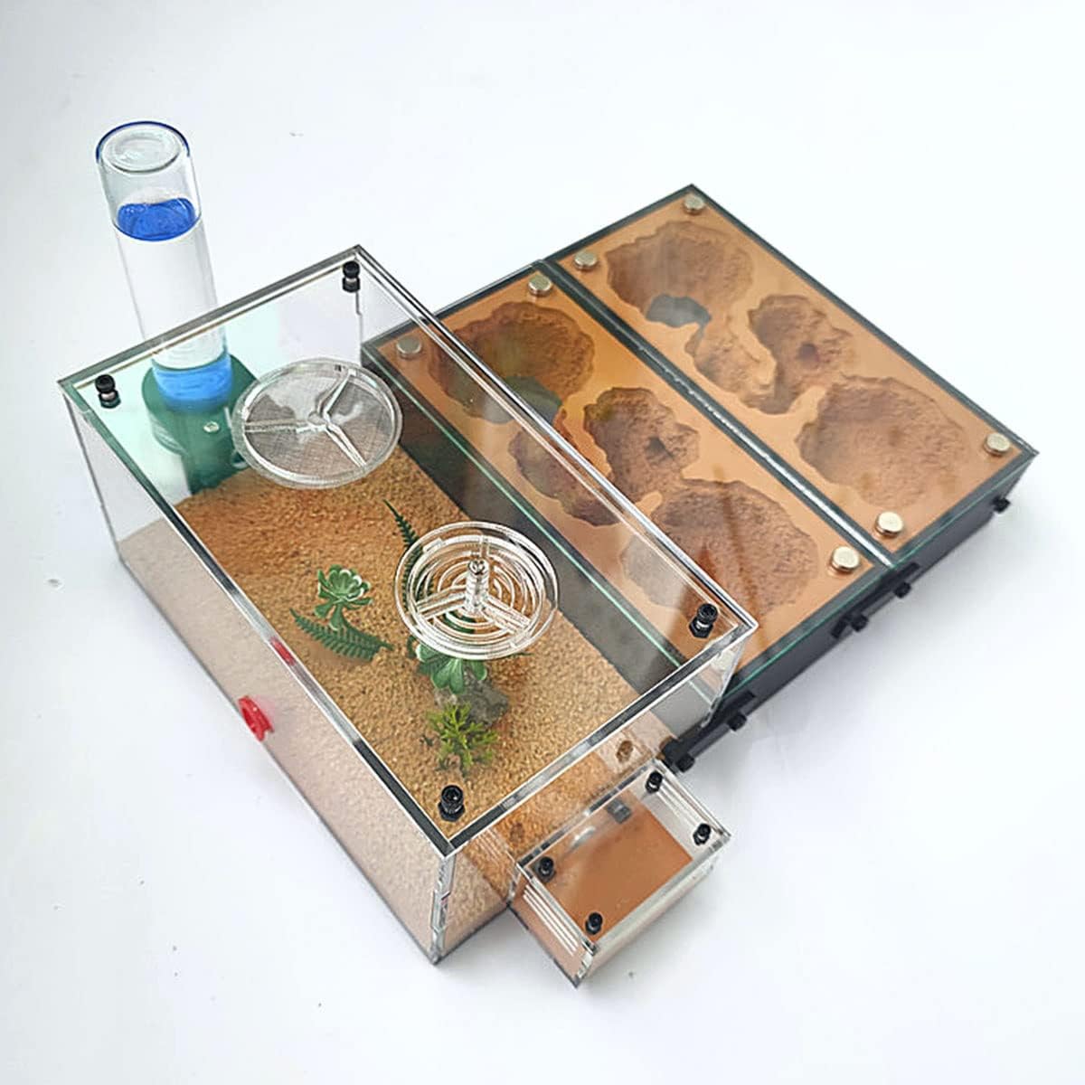 Amazon.com: YKLL Ant Farm 3D Flat Gypsum Ant Farm Nest Ant Habitat Cage ...