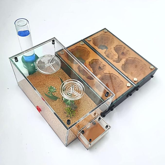 Amazon.com: YKLL Ant Farm 3D Flat Gypsum Ant Farm Nest Ant Habitat Cage ...
