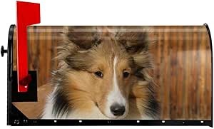 Amazon.com: QPKML Beautiful Sheltie Breed Dog Meets US Postal ...