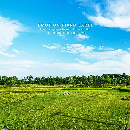 Amazon.com: Piano for healing for weary students : VARIOUS ARTISTS ...