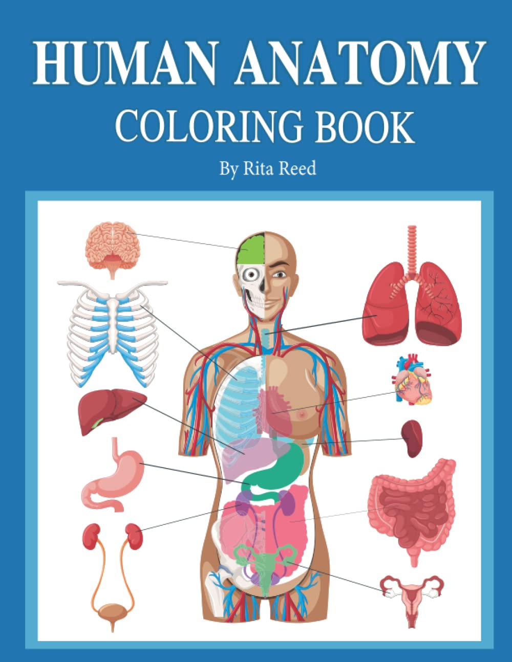 Buy Human Anatomy Coloring Book: The Ultimate Anatomy Human body ...