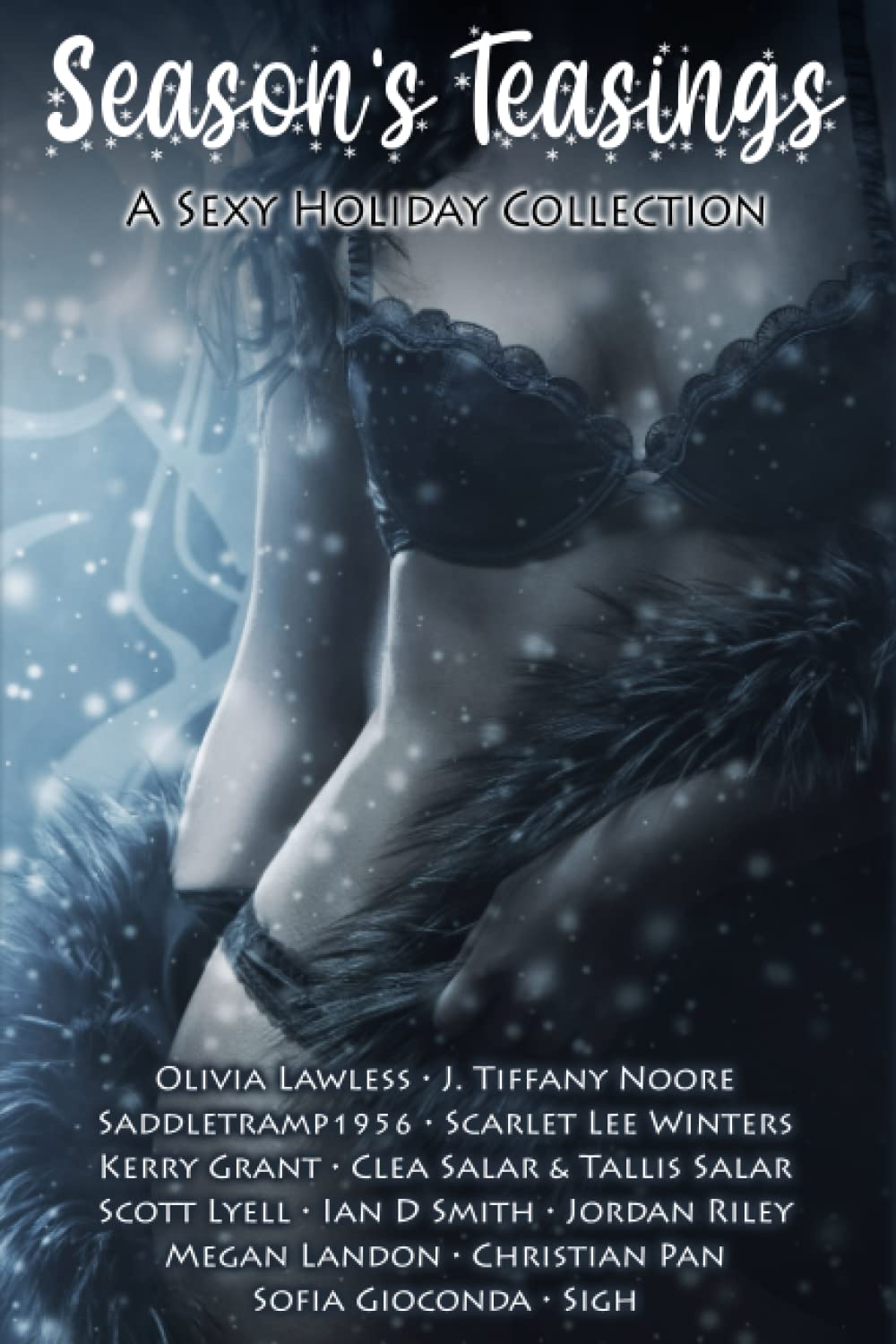 Amazon.com: Season's Teasings: A Sexy Holiday Collection (Erotic Celebration Collections ...