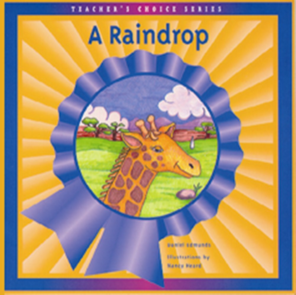 Amazon.com: RAINDROP, A: 9781562705749: Dominie Elementary: Books