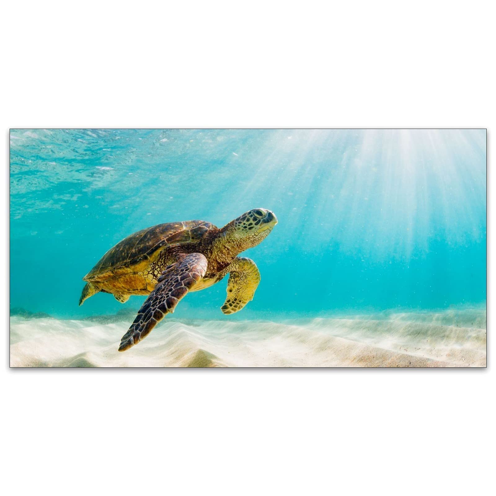 GVGHIDZ Fluorescent Light Covers for Classroom Office - Eliminate Harsh ...