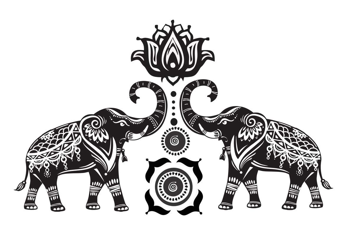 Two Elephant Logo Healthcare Nursing Two Elephants With Rainbow Design
