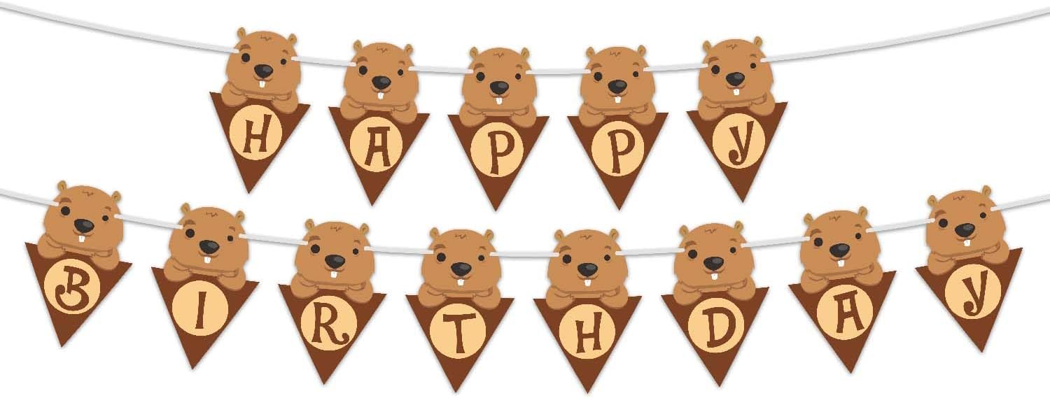 Amazon.com: Groundhog Birthday Banner Happy Birthday Bunting Banner ...