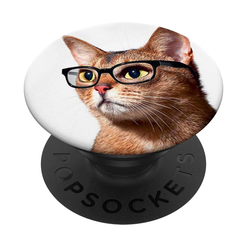 Smart Cats With Glasses