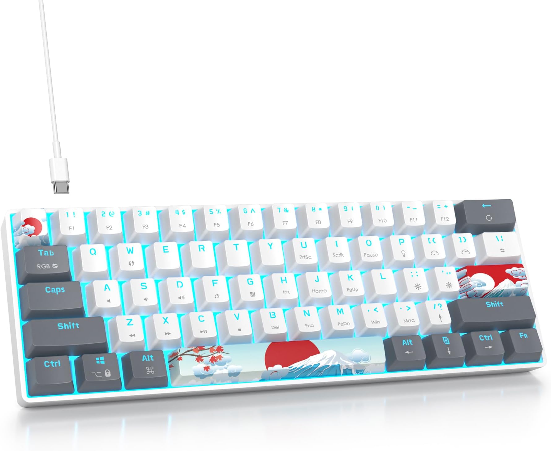 Amazon.com: DIERYA T68SE 60% Gaming Mechanical Keyboard,Ultra Compact ...