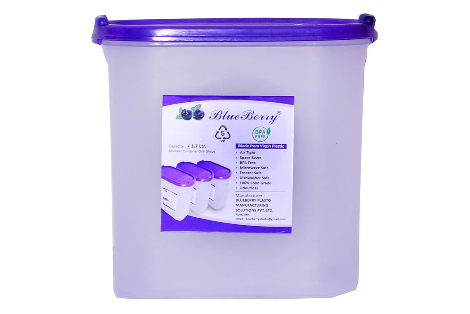 Buy BLUEBERRY Oval Shape Container Perfect For Storage Solution ...