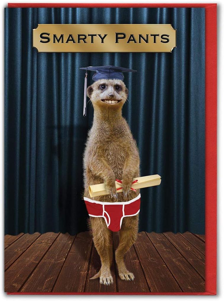 Amazon.com : Brainbox Candy Funny Humorous 'Smarty Pants ...