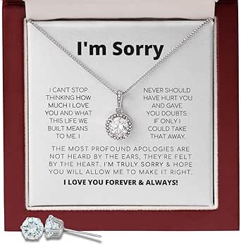 Amazon.com: Im Sorry Gifts For Her, Apology Gifts For Her, Giant Sorry ...