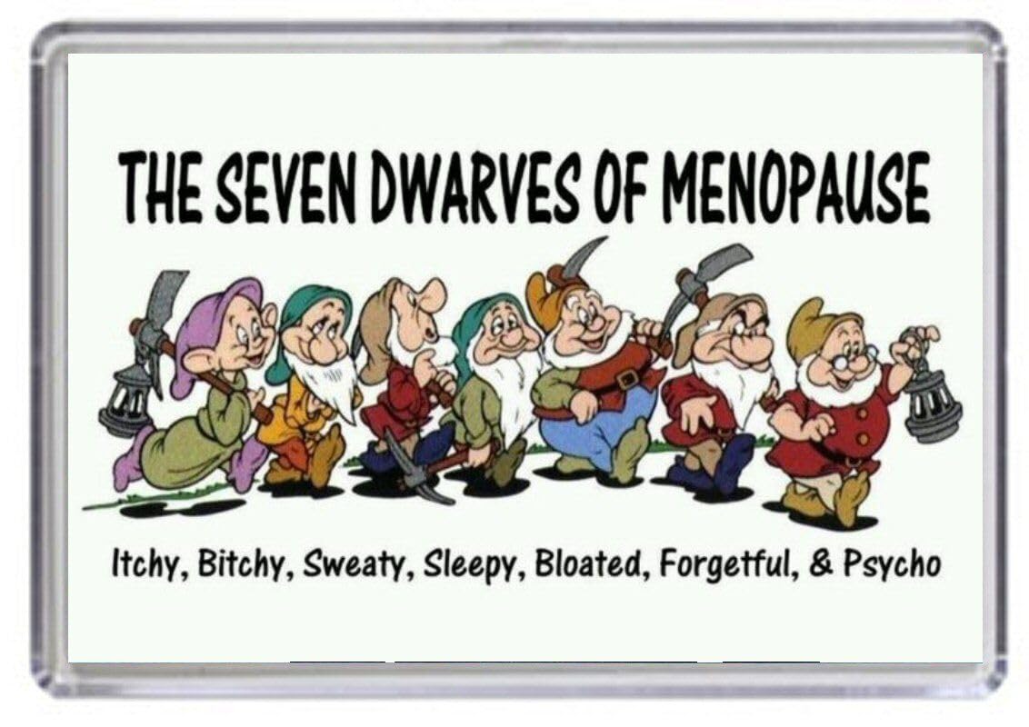 7 dwarves of menopause fridge magnet handmade in uk : Amazon.co.uk ...