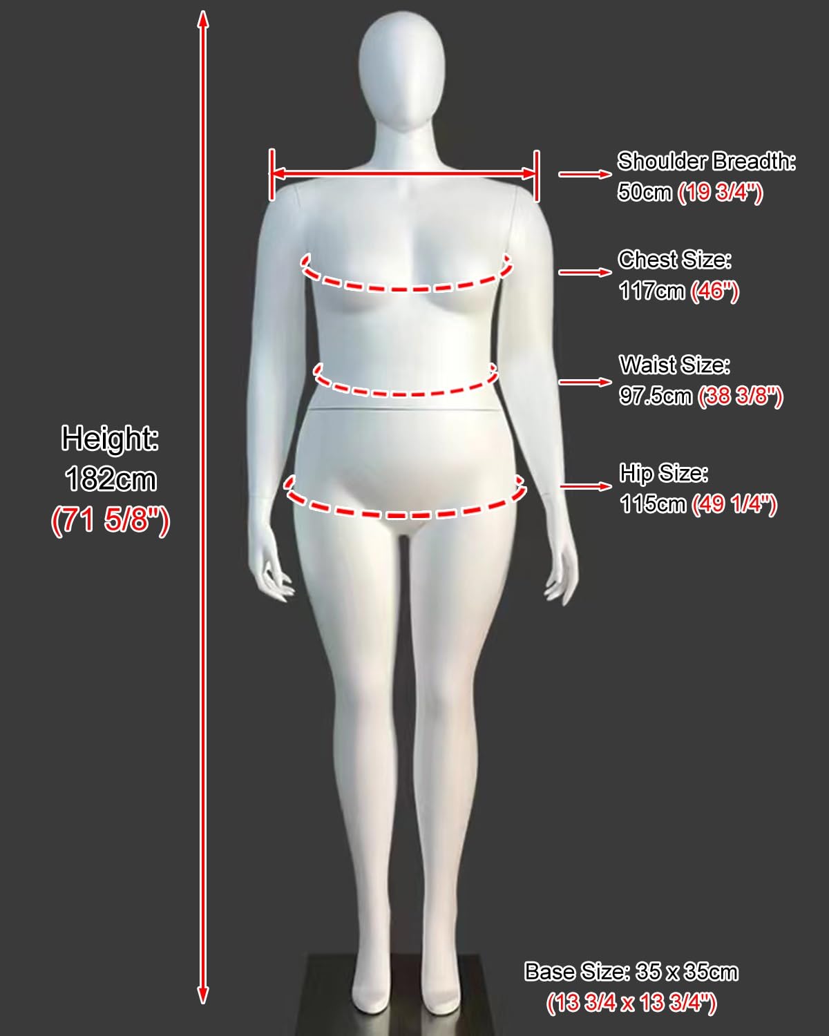 Plus Size Model Measurement Requirements How To Be A Plus Size Model