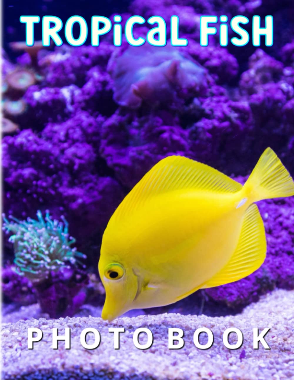 Tropical Fish Photo Book: Freshwater and Saltwater Aquariums Collection ...