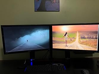 Amazon.com: ASUS VS248H-P 24" Full HD 1920x1080 2ms HDMI DVI VGA Back ...