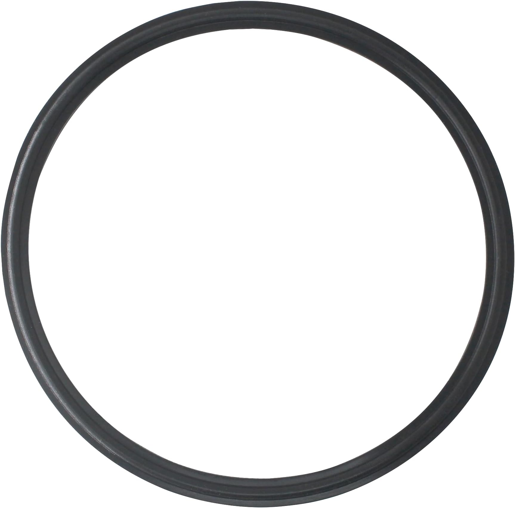 Amazon.com: Hayward SPX0540Z2 Lens Gasket Replacement for Hayward ...