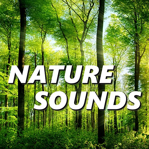 Amazon.com: Nature Sounds : Nature Relaxation Sounds: Digital Music