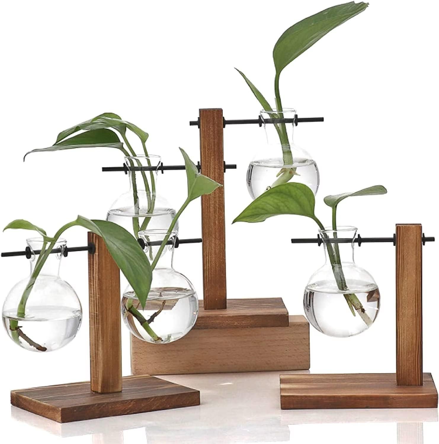 Amazon.com: Plant Propagation Station, Plant Terrarium Vase Hydroponics ...