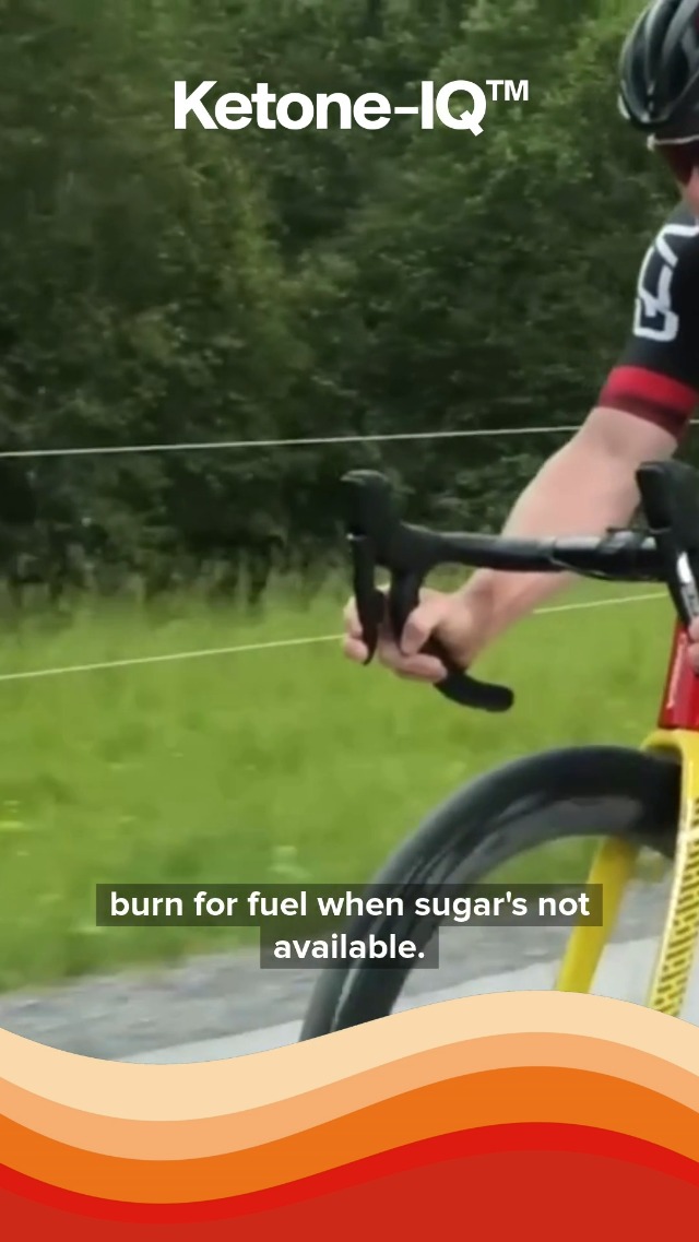 Snapklik.com : Get Your Fuel From Ketones No Sugar, No Salt, No ...