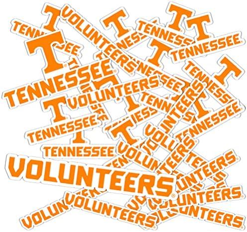 Amazon.com: Desert Cactus University of Tennessee Stickers UT Knoxville ...